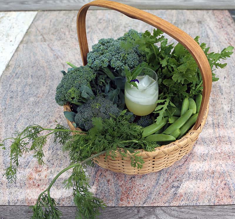 I Love Cilantro, aka Coriander, aka Coriandrum sativum | GardenLady.com