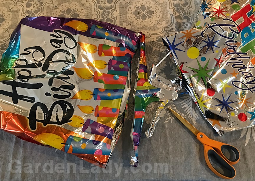 Recycle Wilted Mylar Balloons | GardenLady.com