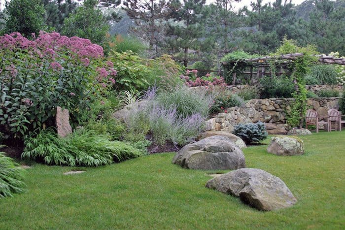 A Plant For Gardening Large | GardenLady.com