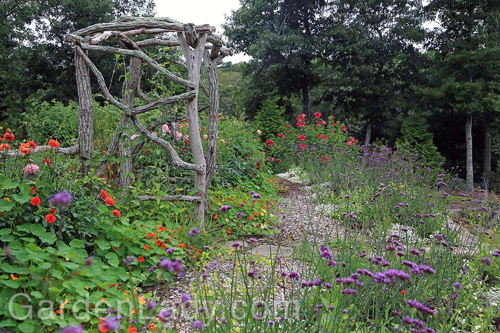 ‘Raspberry Rose’ Hibiscus – A Stunning Plant | GardenLady.com
