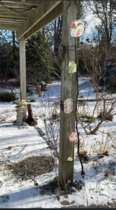 Making Ice Mobiles | GardenLady.com