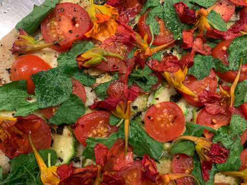 I Love Mountain Magic Tomatoes | GardenLady.com