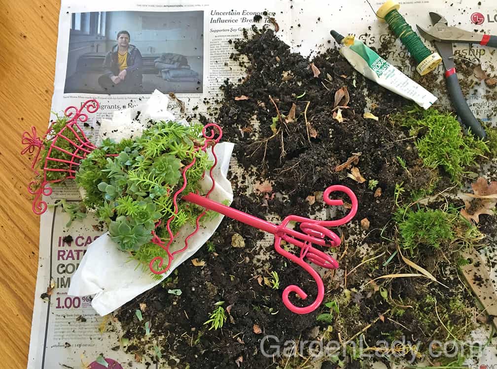 Succulent Plant Crafts | GardenLady.com